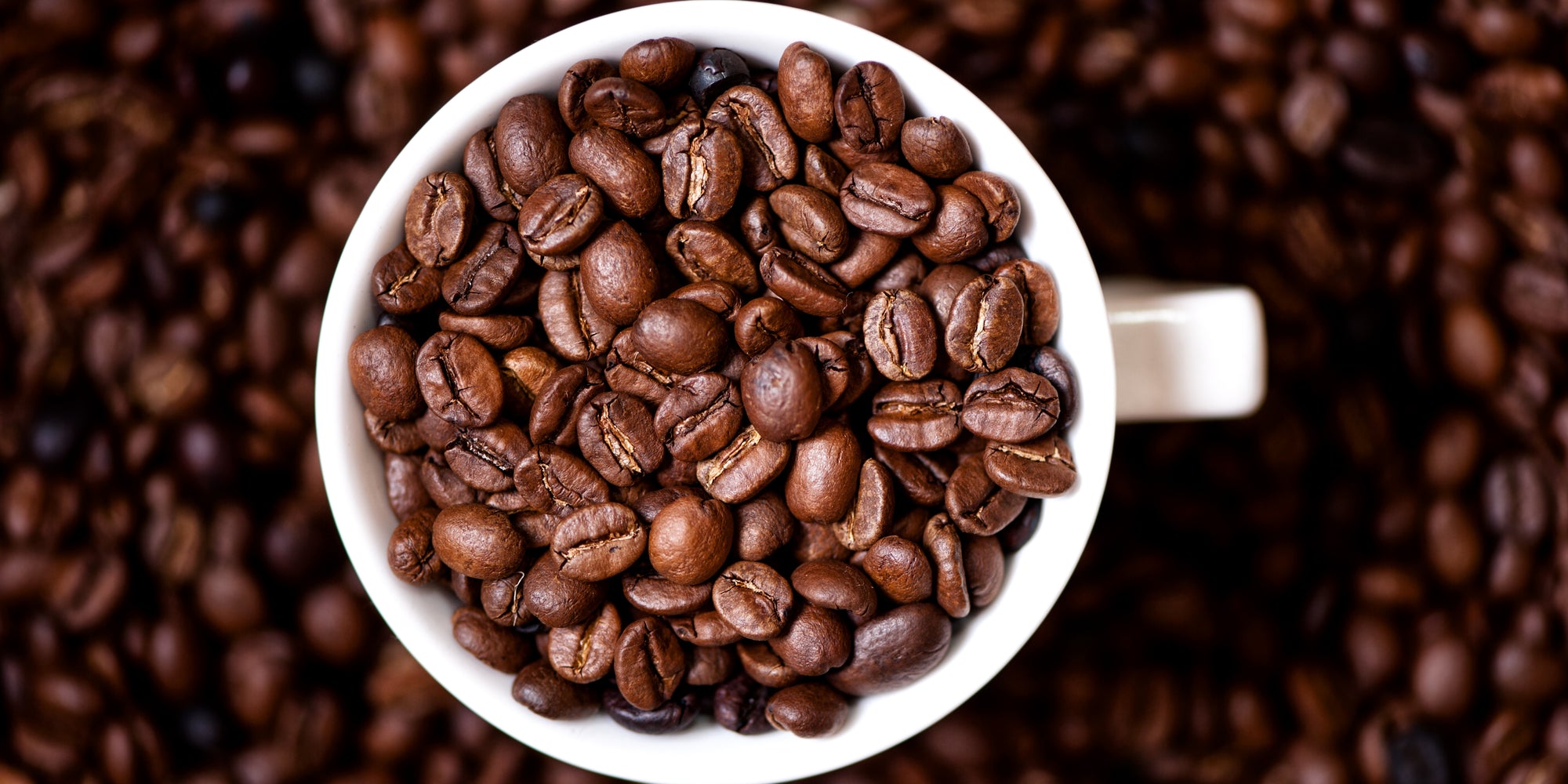 Freshly Roasted Coffee Delivered to Your Door – Milk and Honey Coffee Co